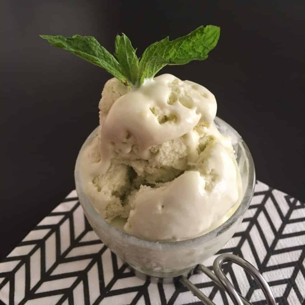 Fresh Mint Ice Cream - She's Almost Always Hungry